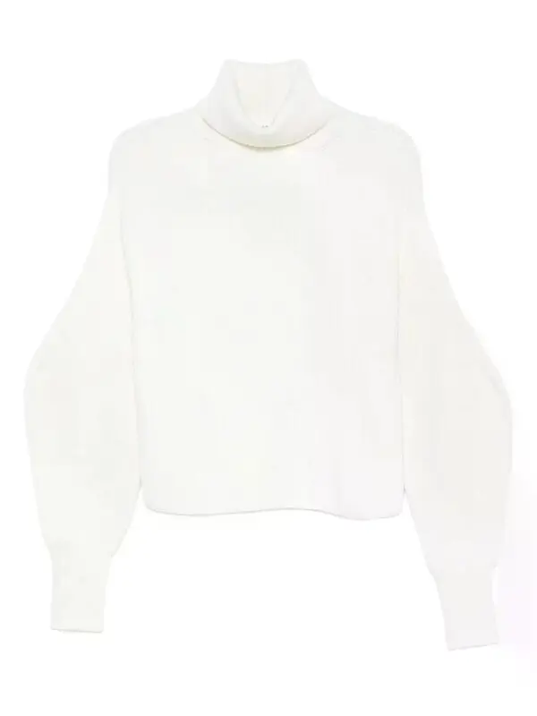 P.a.r.o.s.h Roll-neck Ribbed Sweater