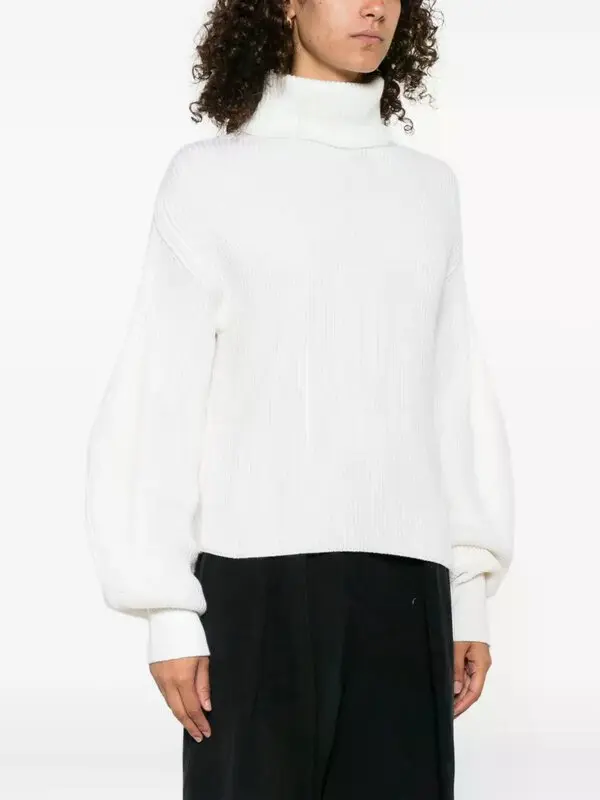 P.a.r.o.s.h Roll-neck Ribbed Sweater