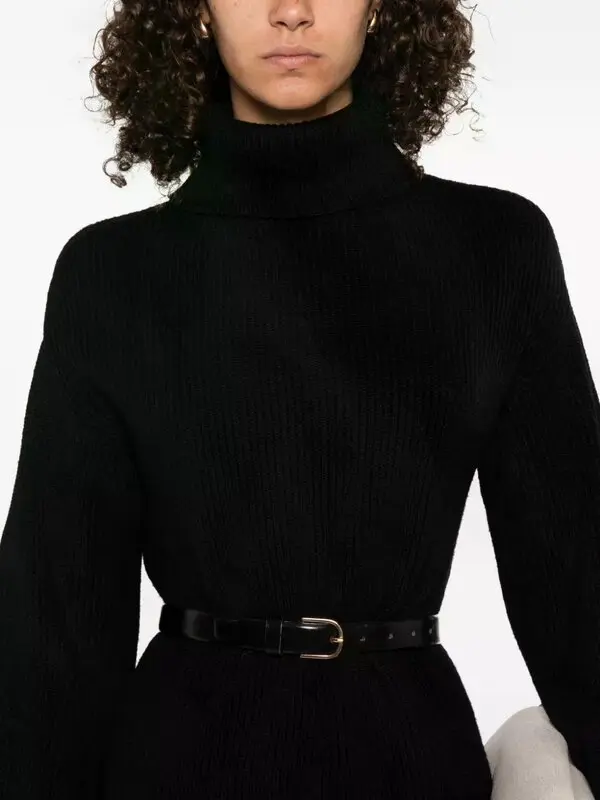 P.a.r.o.s.h High-neck Ribbed Jumper