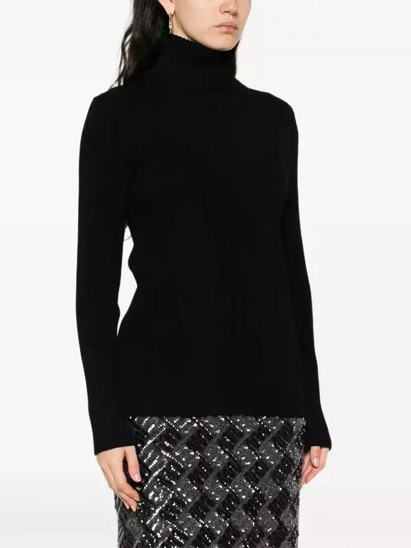 P.a.r.o.s.h Ribbed High-neck Sweater