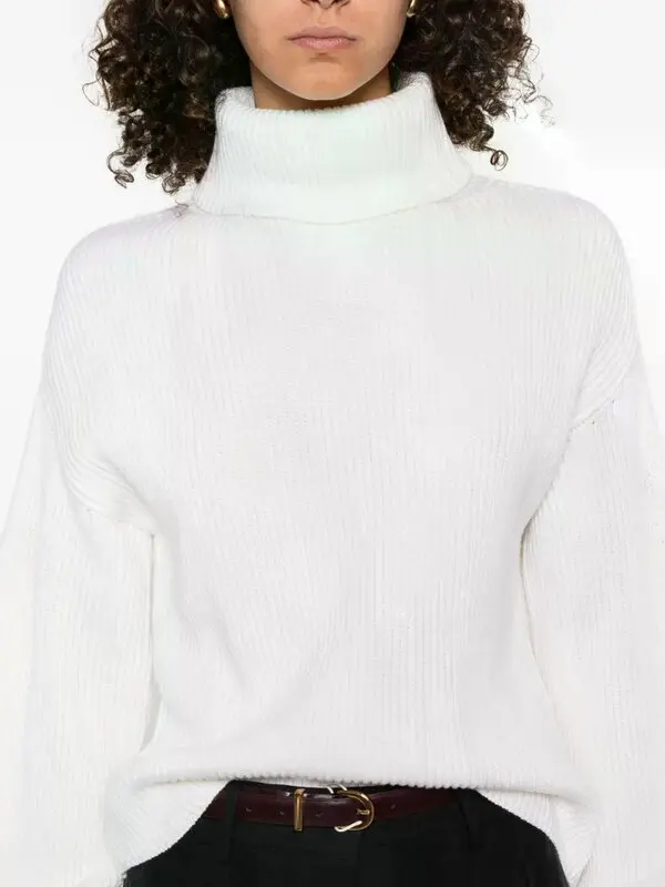 P.a.r.o.s.h Ribbed Roll Neck Sweater