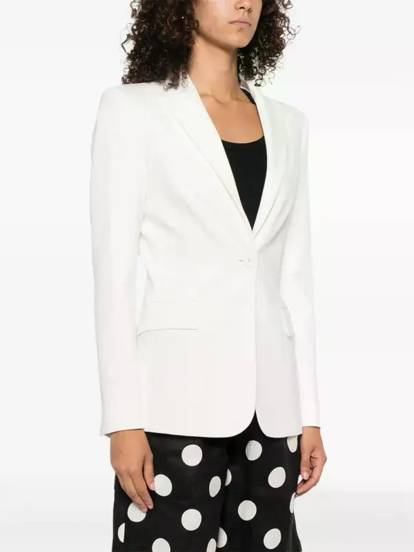 Pinko Single-breasted Blazer