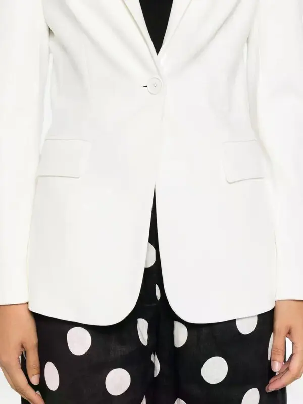 Pinko Single-breasted Blazer