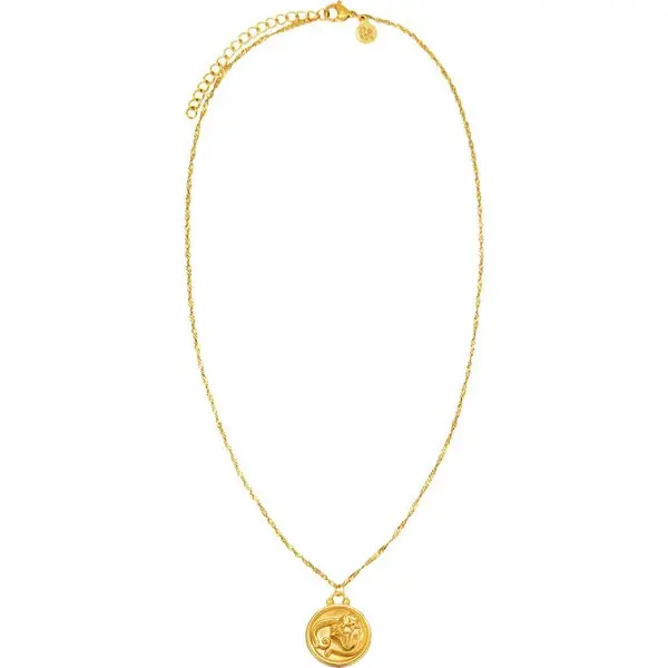 PETIT MOMENTS Horoscope Pendant Necklace - Goldeo