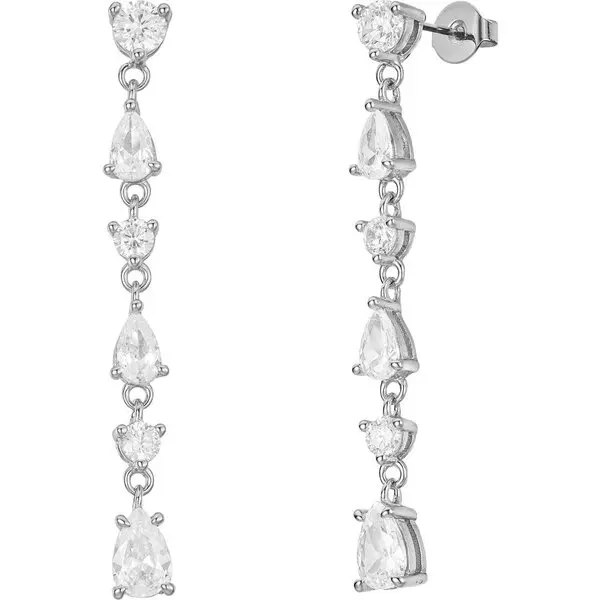 UNTAMED PETALS Taurus Crystal Drop Earrings - Silver
