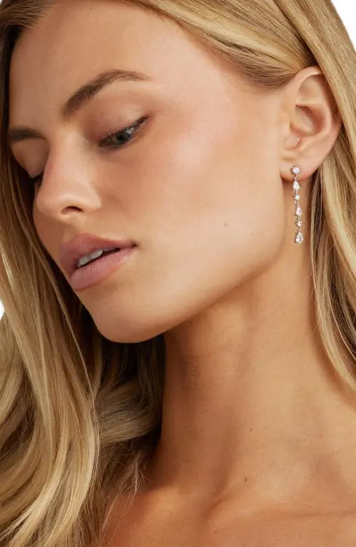 UNTAMED PETALS Taurus Crystal Drop Earrings - Silver
