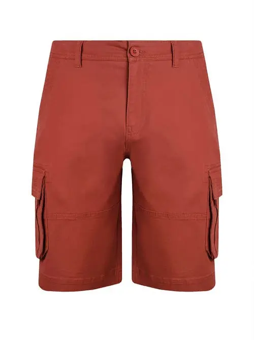 WEIRD FISH Rigney Cargo Shorts - Paprika