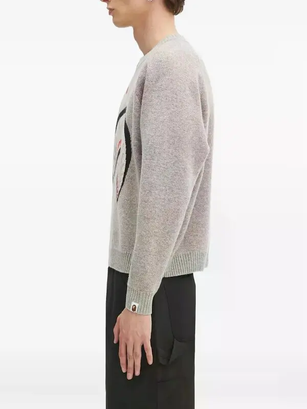 A BATHING APE Shark Raglan Sweater