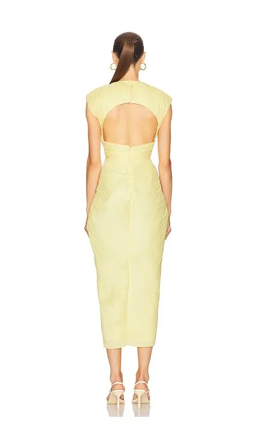Cult Gaia Inaya Dress