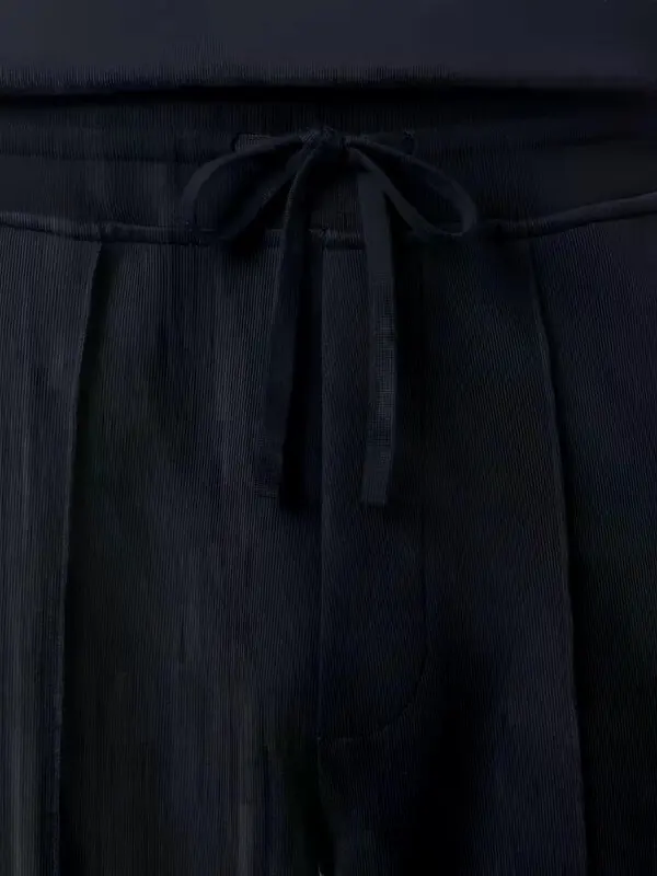 Loro Piana Whitney Pleated Drawstring Trousers - Blue