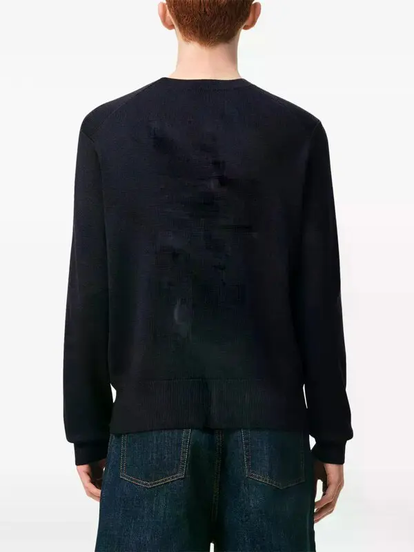 Ami De Coeur Crew Neck Wool Sweater - Blue