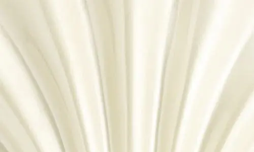 Jw Pei Maisie Shell Clutch