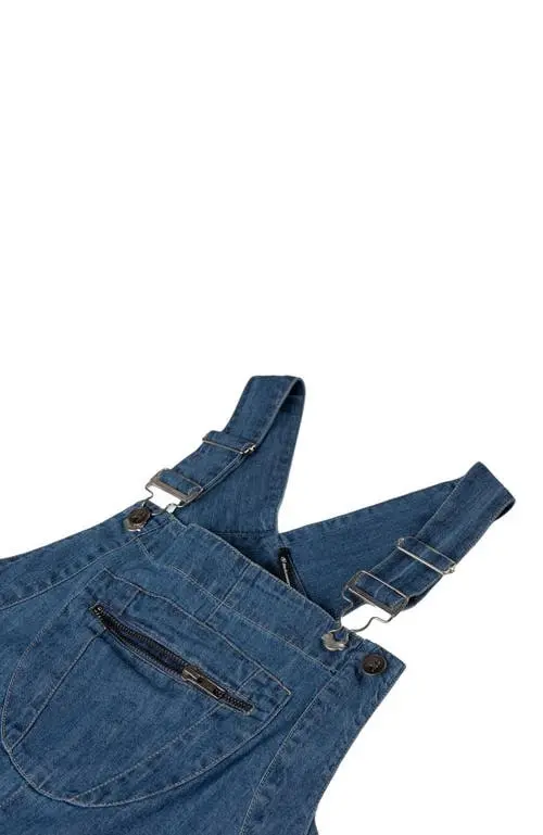 BACKCOUNTRY Denim Overalls