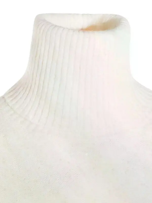 Fabiana Filippi Sequin-detail Roll-neck Sweater