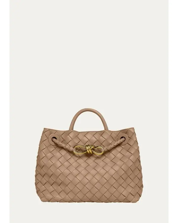 Bottega Veneta Small Andiamo Leather Top-handle Bag - Pinecone