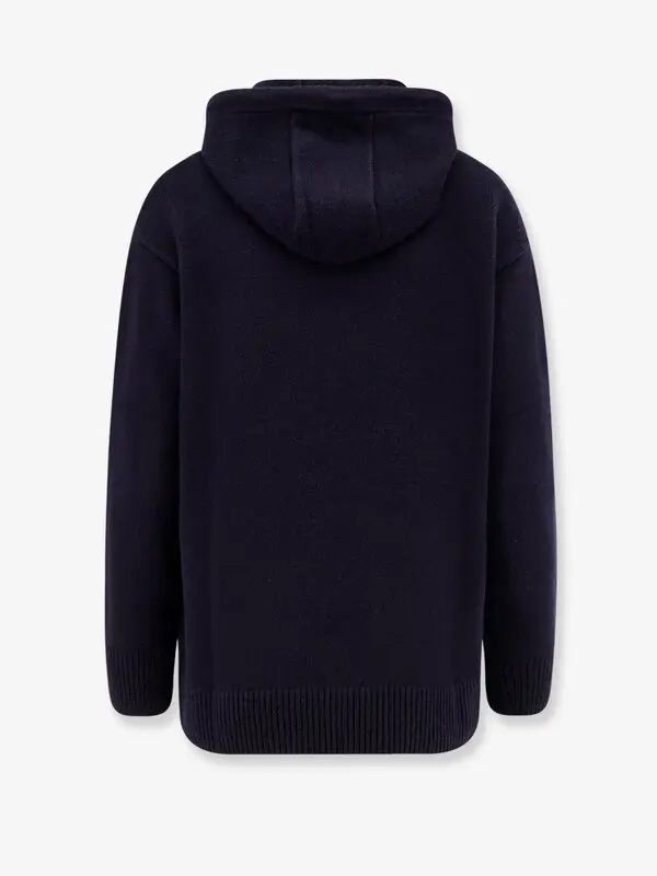 Max Mara Liana Cashmere And Wool Hooded Sweater