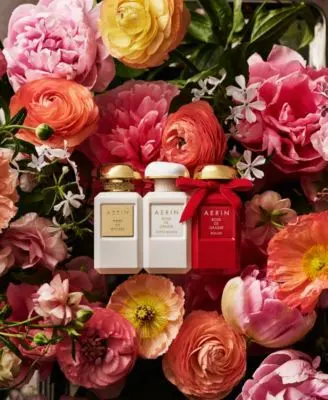 Aerin Rose Premier Collection - No Color