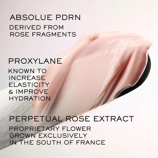 LANCOME Absolue Longevity Soft Cream Refill - One-color