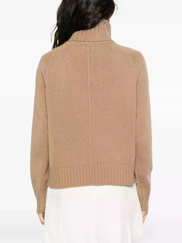 ALLUDE Turtleneck Raglan-sleeve Sweater