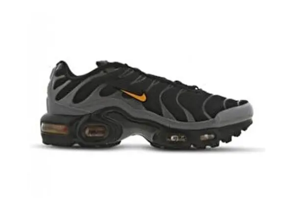 Nike Air Max Plusin Sneakers