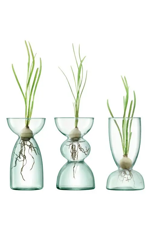 LSA Canopy Recycled Glass Vase Trio