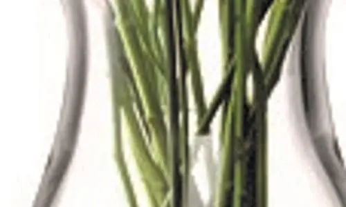 LSA Flower Grand Posy Vase