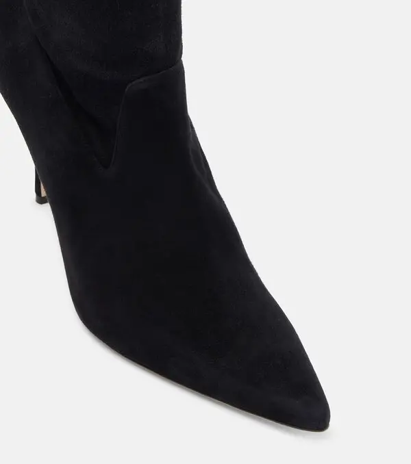 Manolo Blahnik Pascalarehi 105 Suede Over-the-knee Boots