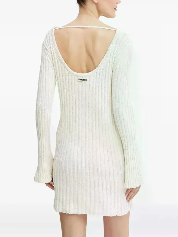 Pinko Ribbed Open-back Mini Dress
