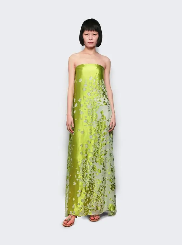 Christopher Esber Strapless Maxi Gown