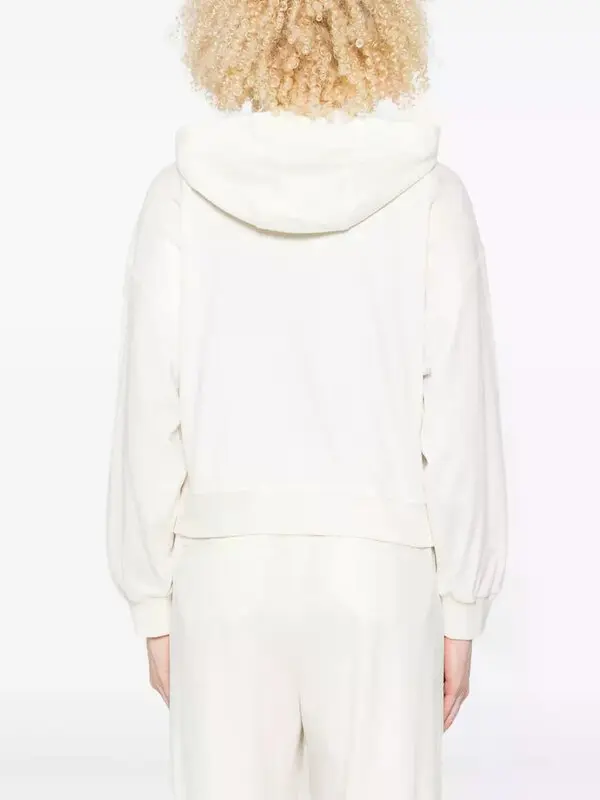 Peserico Zip-fastening Hoodie