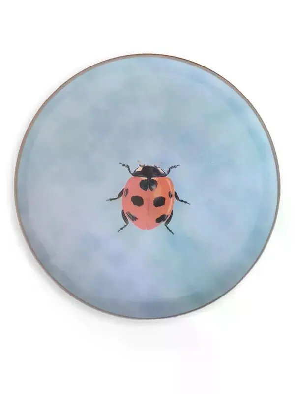 LES-OTTOMANS Insetti Porcelain Plate - Multicolour