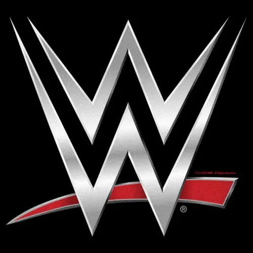 WWE Chrome Logo Graphic T-shirt