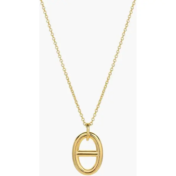 BEARFRUIT JEWELRY Sterling Silver 18k Plated Erin Circle Charm Necklace - Gold