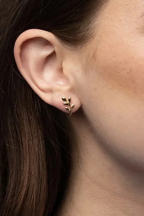 BEARFRUIT JEWELRY Sterling Olivia Stud Earrings - Gold