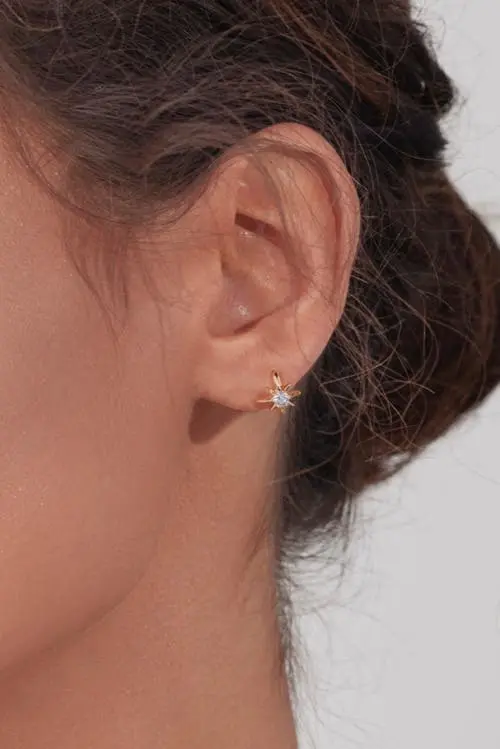 BEARFRUIT JEWELRY 14k Plated Star Huggie Earrings