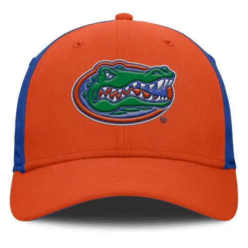 JORDAN BRAND Royal Florida Gators 2025 Sideline Performance Flex Cap