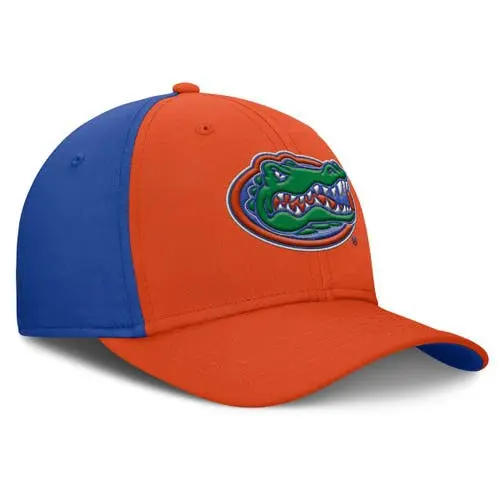JORDAN BRAND Royal Florida Gators 2025 Sideline Performance Flex Cap