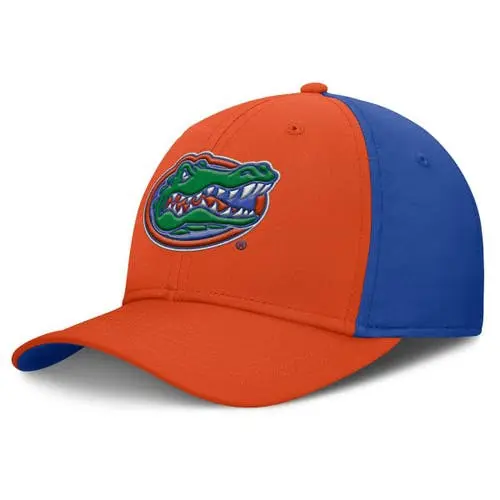 JORDAN BRAND Royal Florida Gators 2025 Sideline Performance Flex Cap