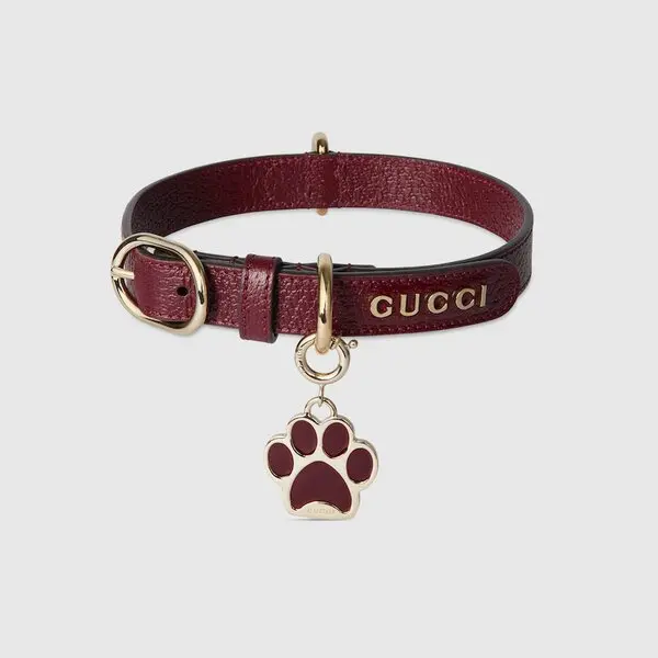 Gucci Small/medium Collar - Bordeaux