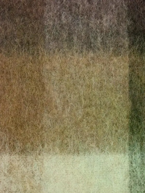 Acne Studios Checked Fringed Scarf