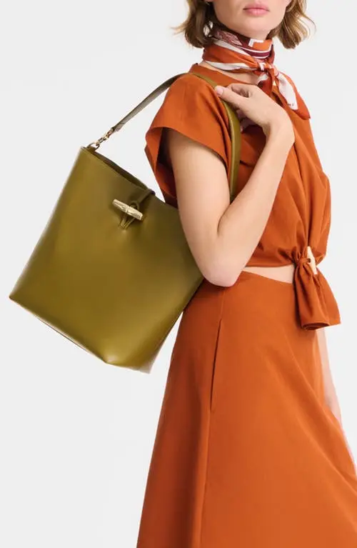 Longchamp Le Roseau Leather Hobo Bag