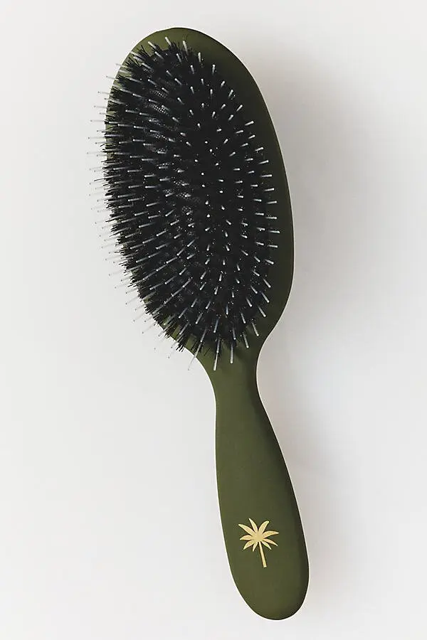 FAN PALM Medium Hair Brush - Jungle