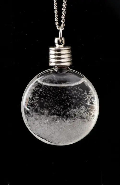 HEEBIE JEEBIES Storm Glass Silver Plated Pendant Necklace