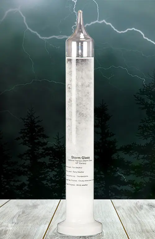 HEEBIE JEEBIES Fitzroy's Storm Glass