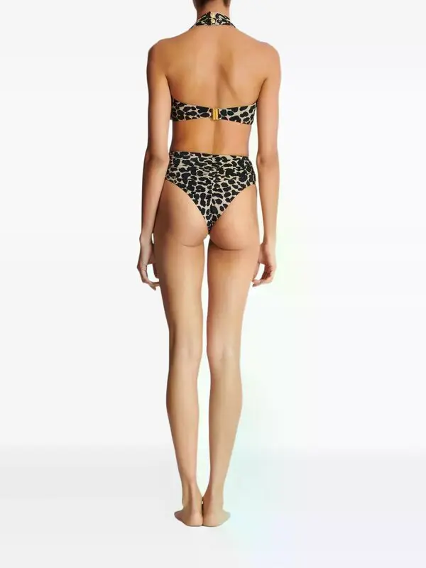 Balmain Leopard-print Two-piece Bikini - Neutrals