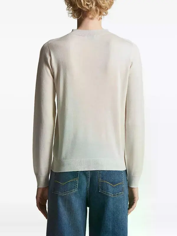 Peserico Embellished Crew-neck Sweater