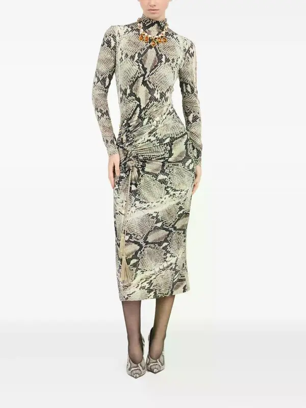 Roberto Cavalli Python-print Ruched Midi Dress