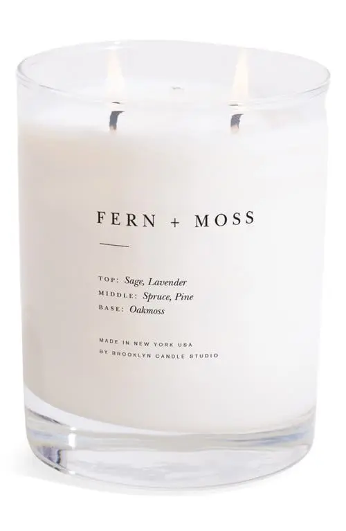 BROOKLYN CANDLE STUDIO Fern Moss Classic 2-wick Candle - Fern + Moss