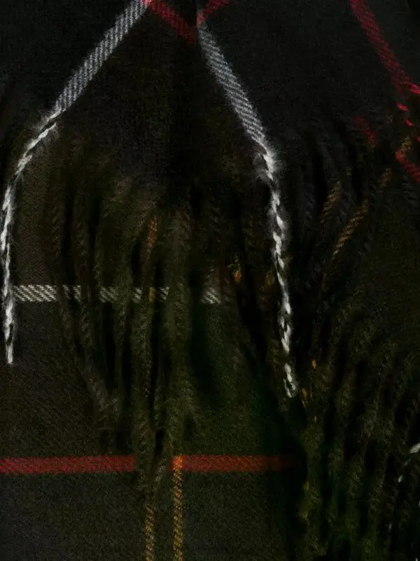Barbour Check-pattern Fringed Scarf