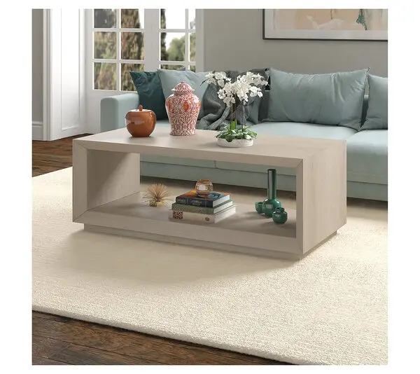 HUDSON&CANAL Tannen 48' Wide Rectangular Coffee Table - One-color